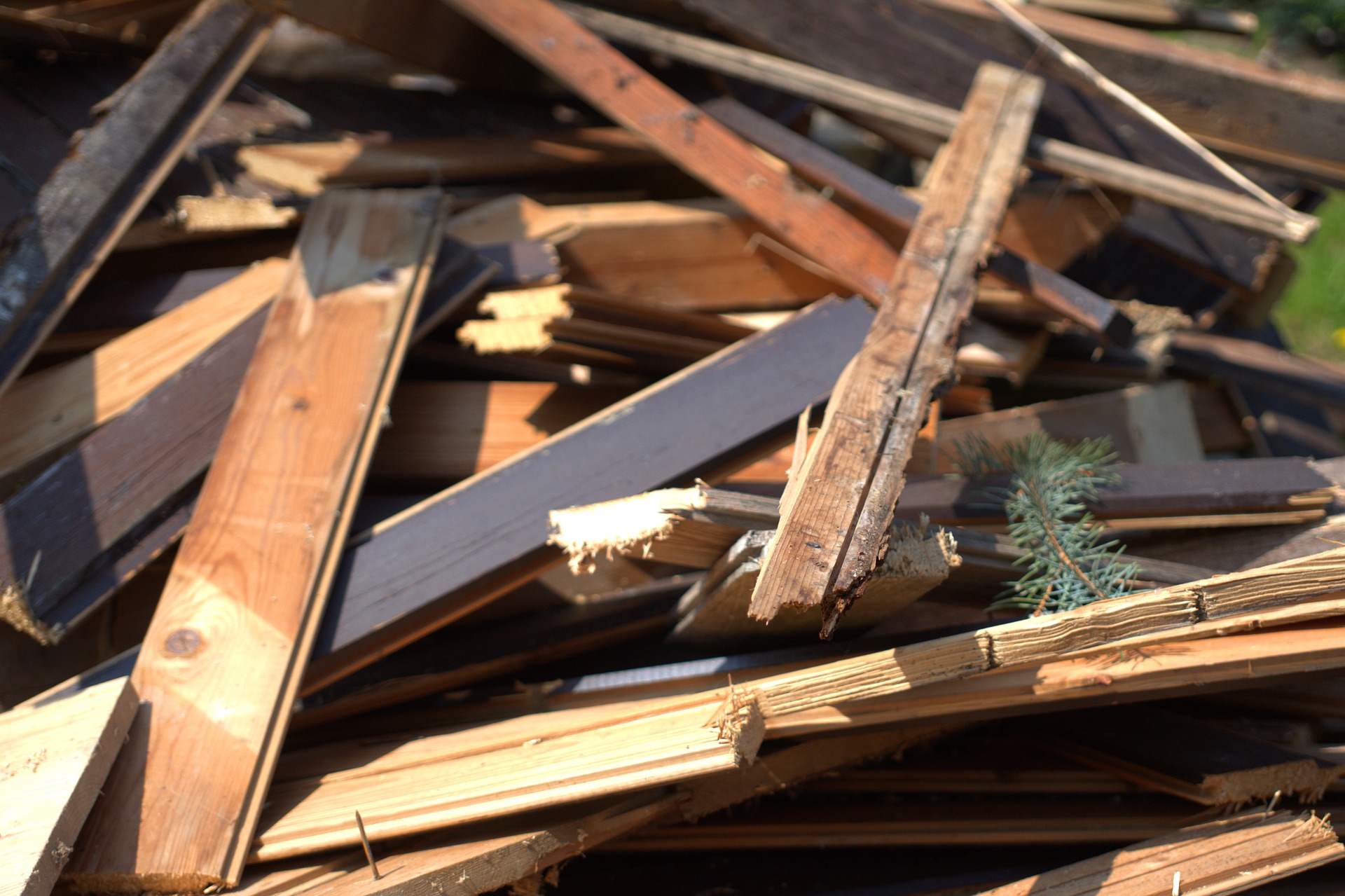 Bioenergy from renewable wood biomass and wood waste.