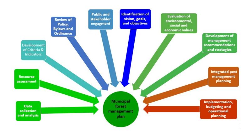 Forest management with practical and innovative solutions